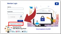 How to Self-Reset My.SSS Account Password - SSS Inquiries