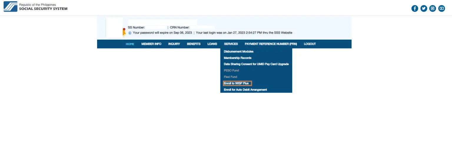 Guidelines on SSS' WISP Plus - SSS Inquiries