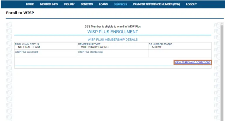 Guidelines on SSS' WISP Plus - SSS Inquiries