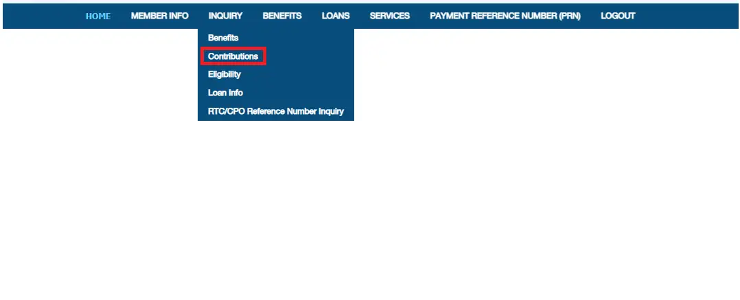 Guidelines on SSS' WISP Plus - SSS Inquiries